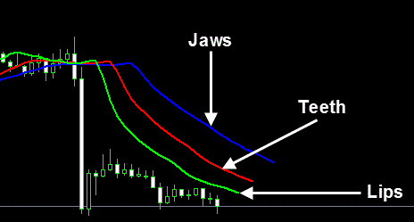 The Alligator indicator (Jaws, Teeth, Lips) trading system - Learn ...