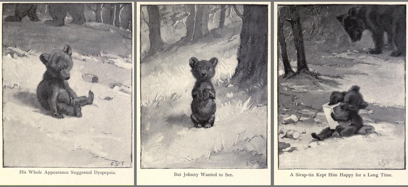 Early Sports and Pop Culture History Blog: Teddy Roosevelt and his ...