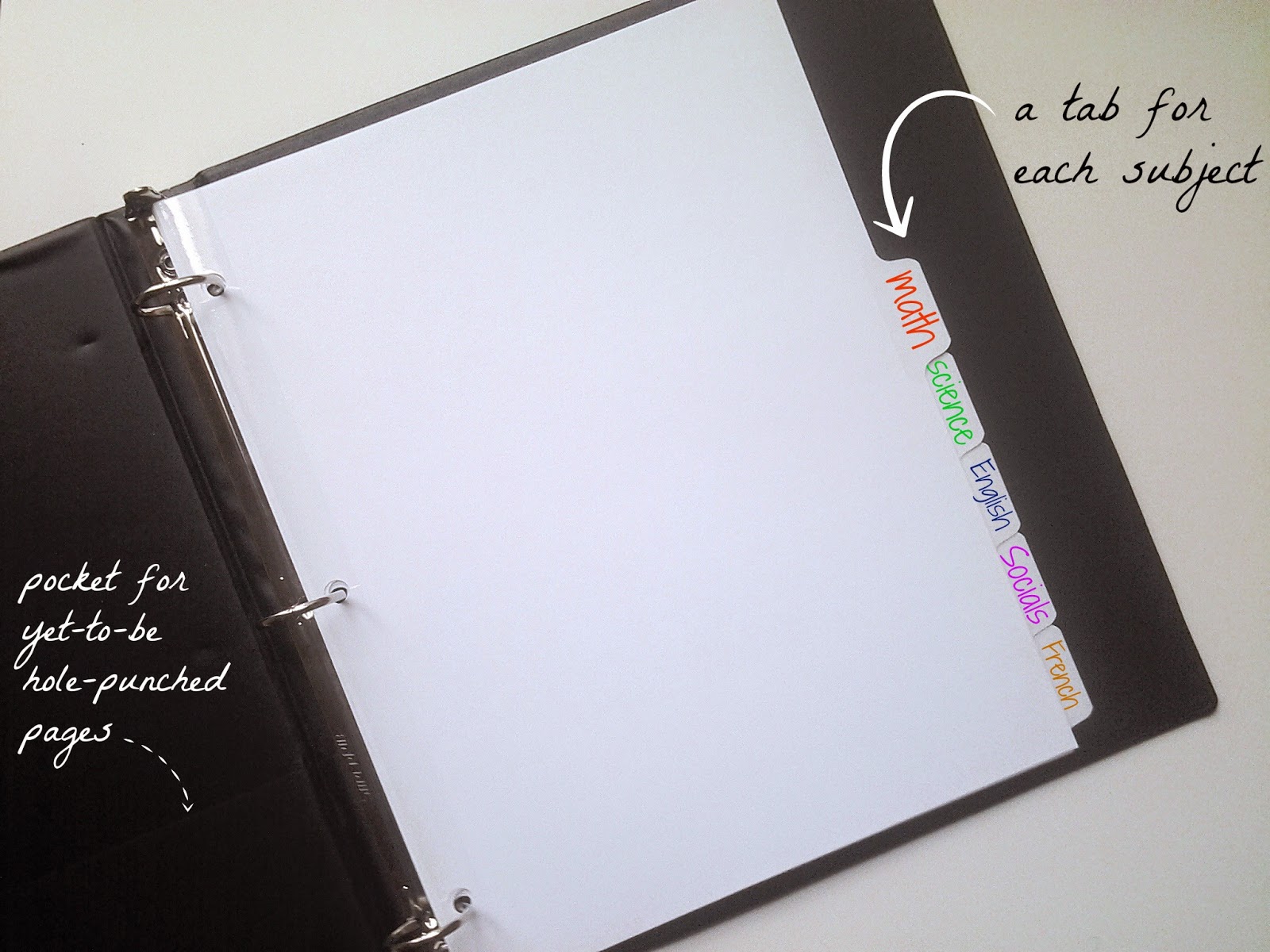 Winding Spiral Case: The Student Organizer Binder