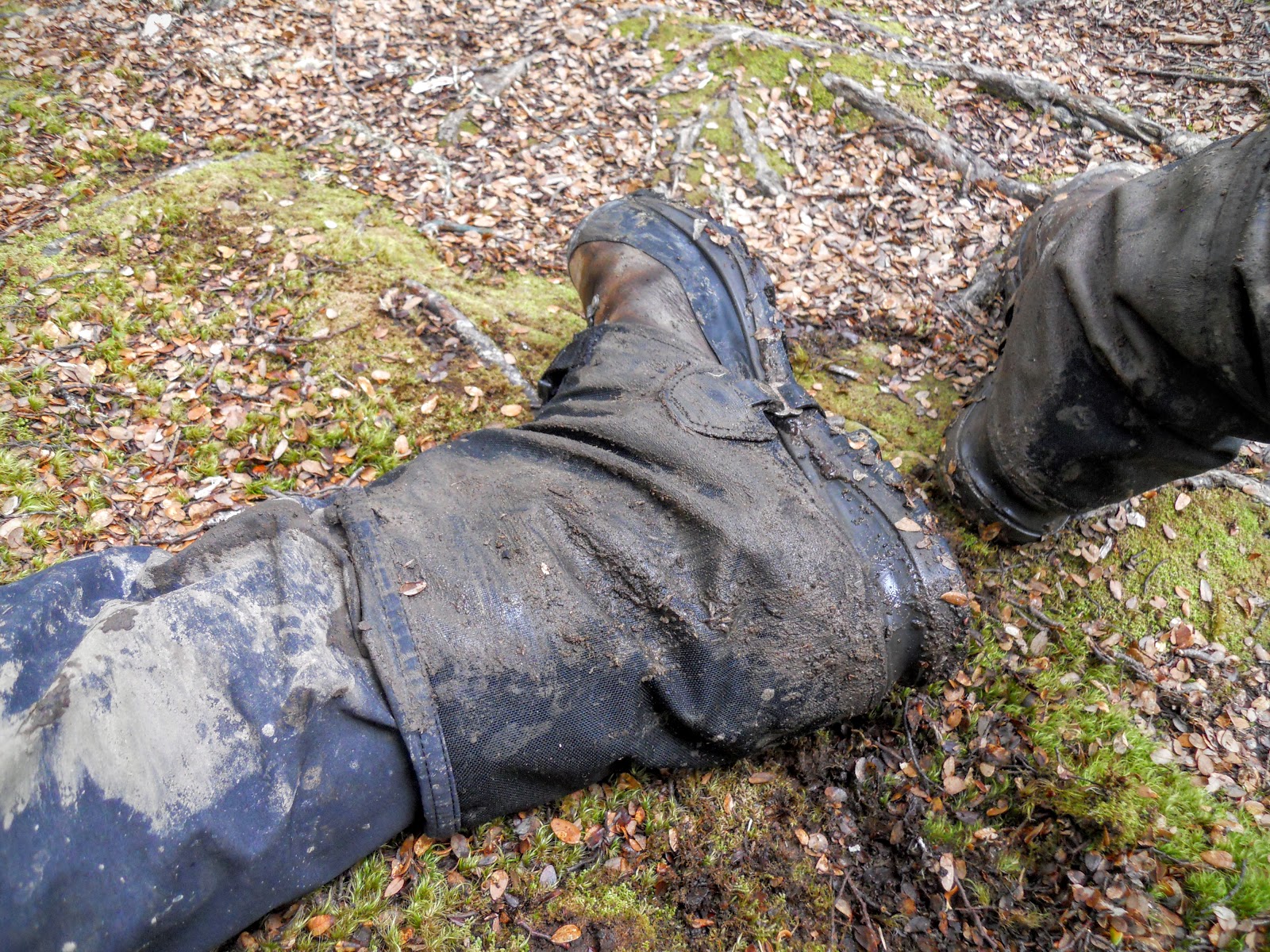 Tramping in the New Zealand backcountry: NZ Bush Adventures: Tramping ...