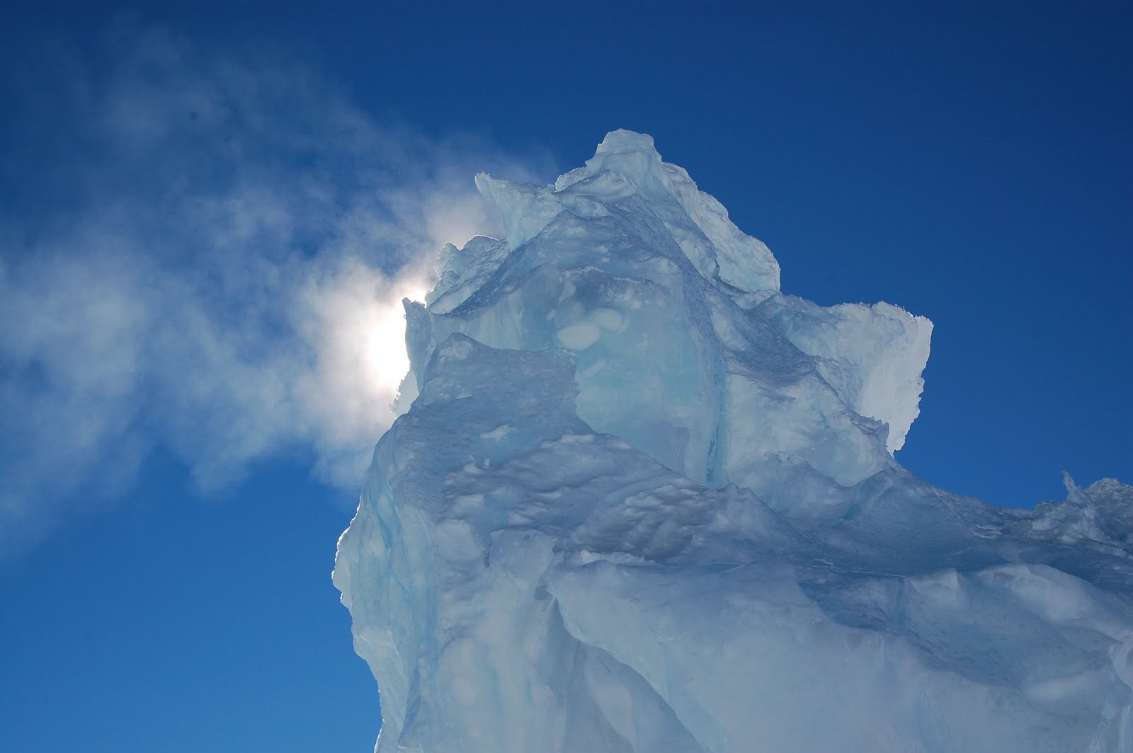 Antarctic Fungi Blog: Mt Erebus