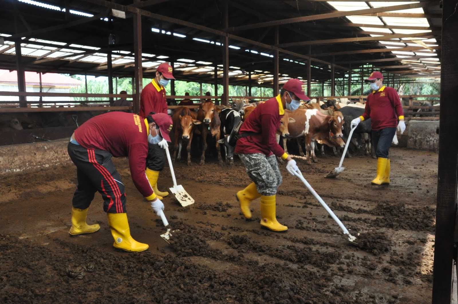 MJ FATONAH SDN BHD: Kursus Usahawan Ternakan Ruminan & Unggas Sessi ...