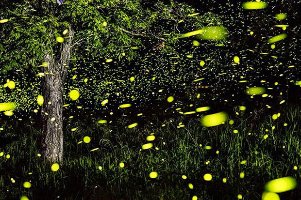 MAGICK RIVER: 5/18/14 - 5/25/14