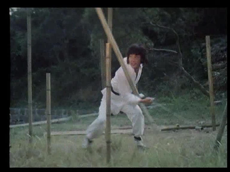 SHAOLIN'S BORN INVINCIBLE a.k.a BORN INVINCIBLE