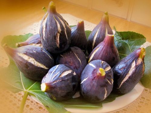 LAS BREVAS Y LOS HIGOS