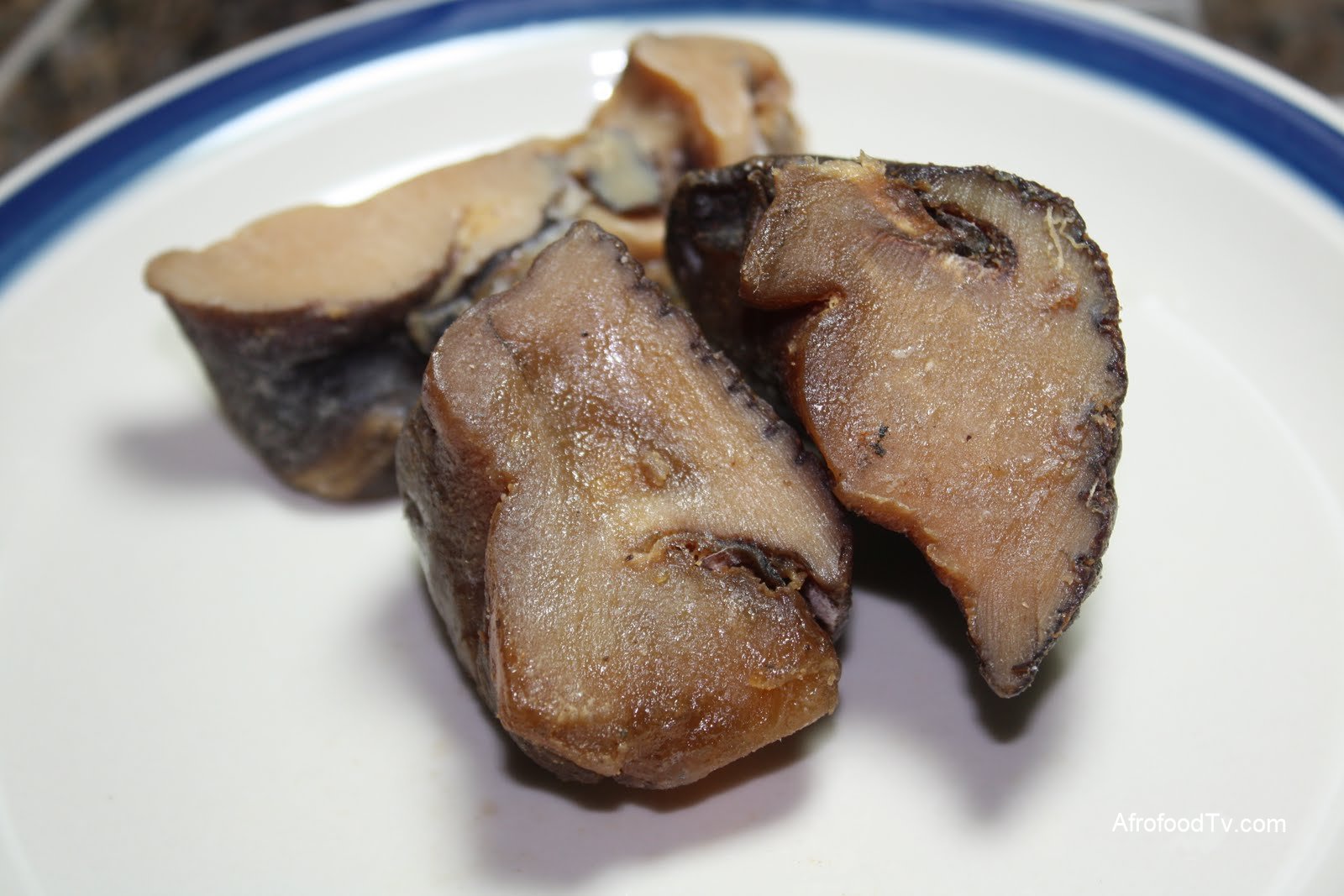 Snail Farming What You Need to Know - Snail Farming