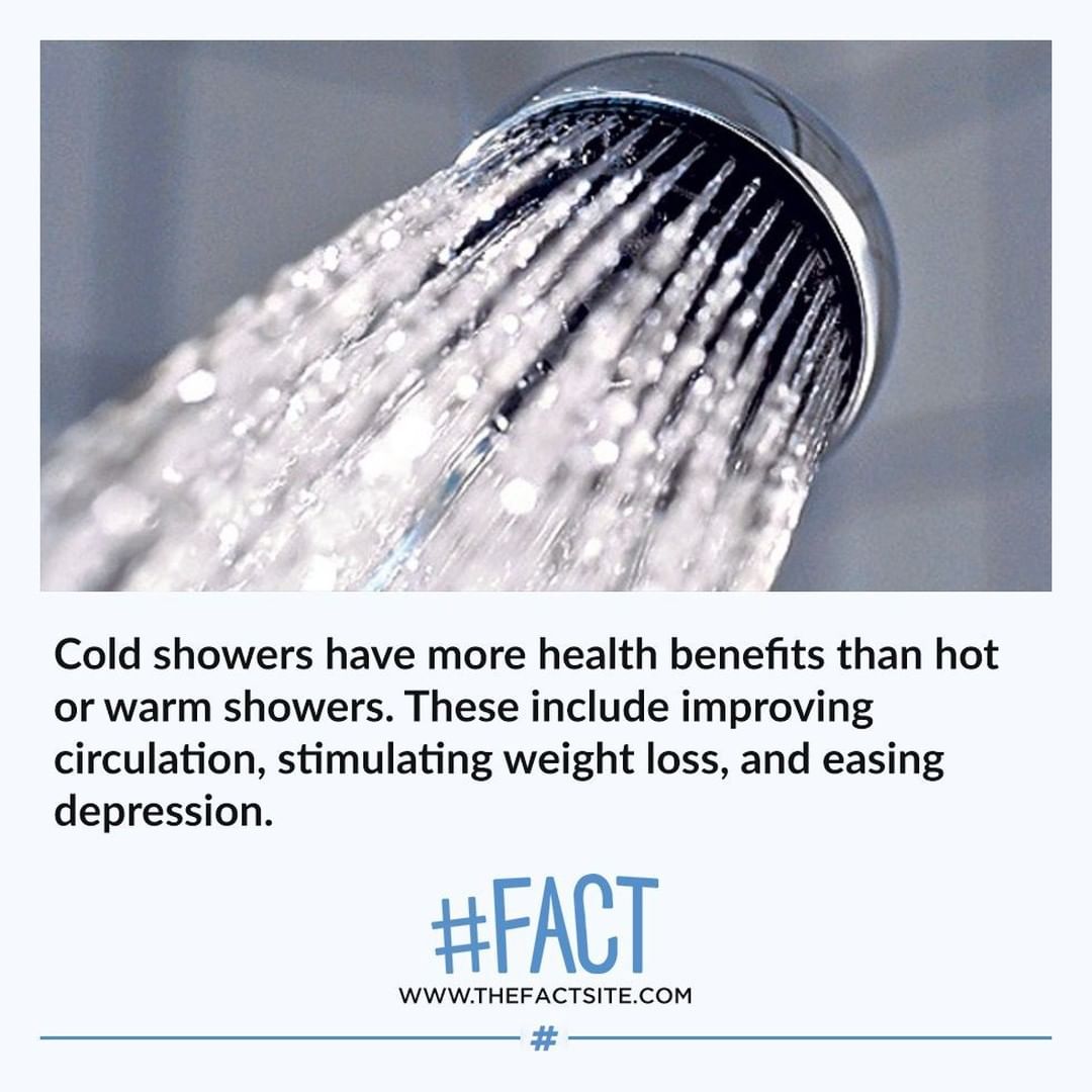 10 RANDOM TRUE FACTS – FUN FACTUAL ACTUAL FACTS 10 | Amazing WTF Facts