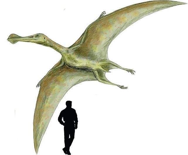 Los animales en la prehistoria: Los mayores pterosaurios