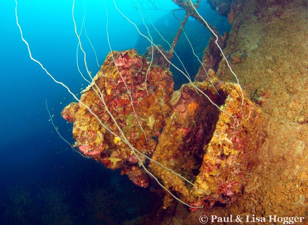 Lorelei's Adventures: Episode 27 Palau Part 4