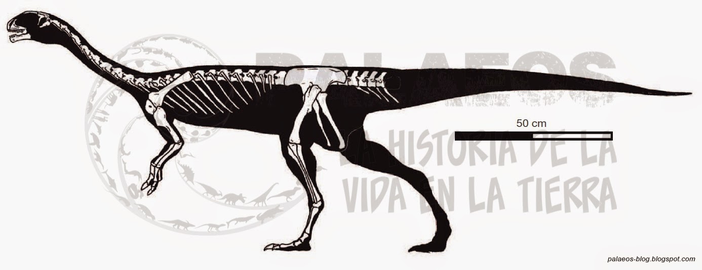 Palaeos, la historia de la Vida en la Tierra: ¿Tres nuevas revoluciones?