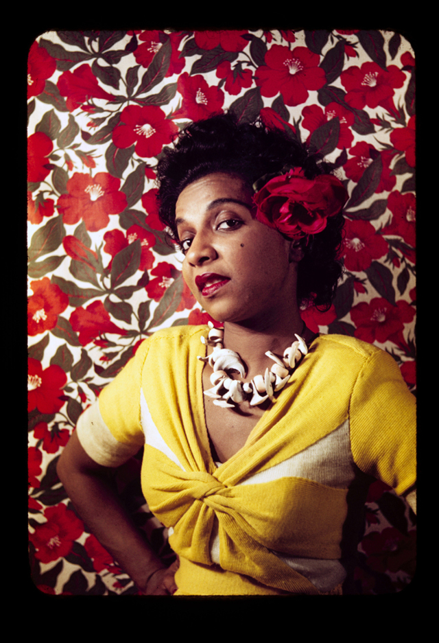 22 Glamorous Photos of Women Who Have Inspired African-Americans ...