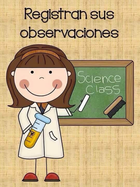 ENSEÑANZA APRENDIZAJE DE LAS CIENCIAS EN PREESCOLAR: ¿Qué hacen los ...