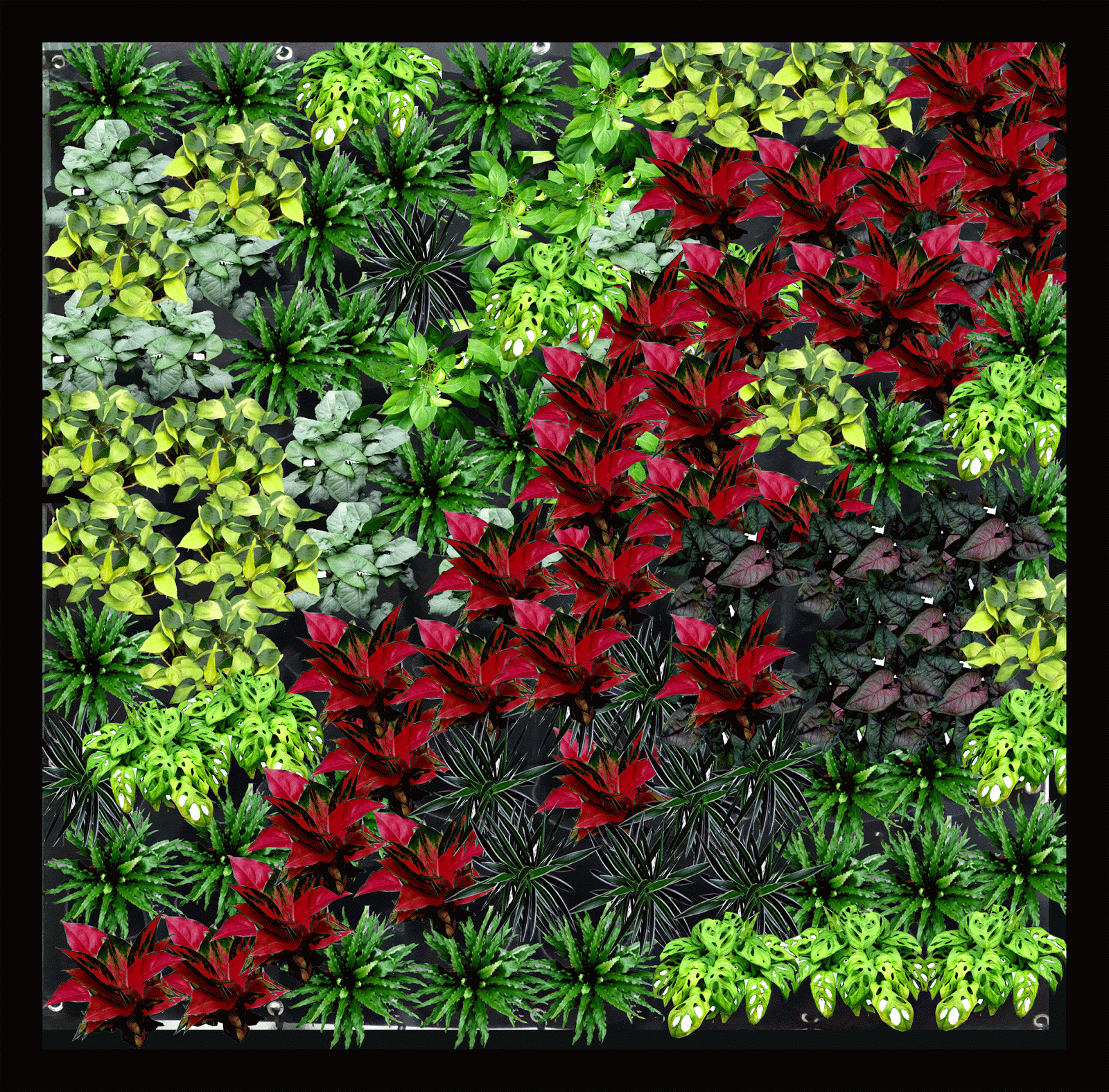 Vertical Garden Concept for Buildings: Greenwall Vertical Garden System ...