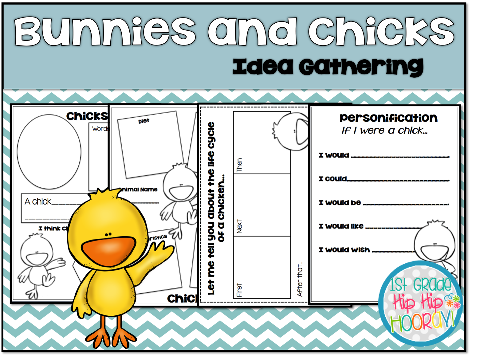 1st Grade Hip Hip Hooray!: Bunnies and Chicks...Let's Research!