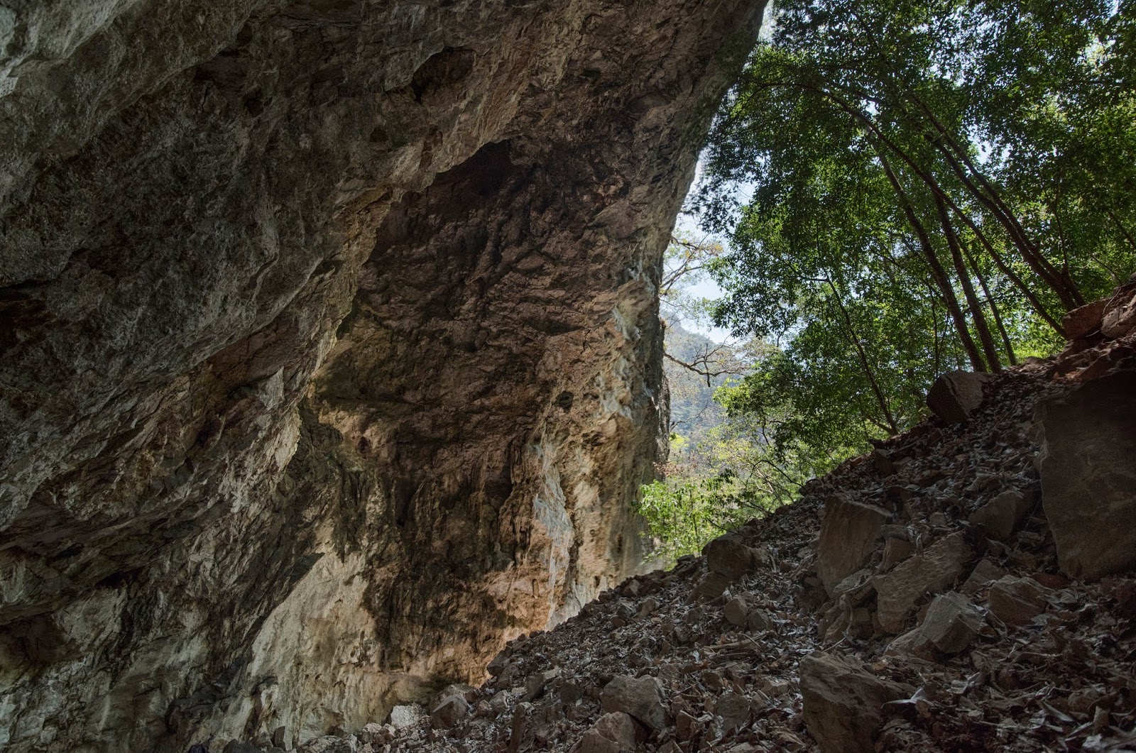 THE RETURN TO CUEVA DE LA PENA COLORADA. A HUAUTLA CAVE DIVING ...