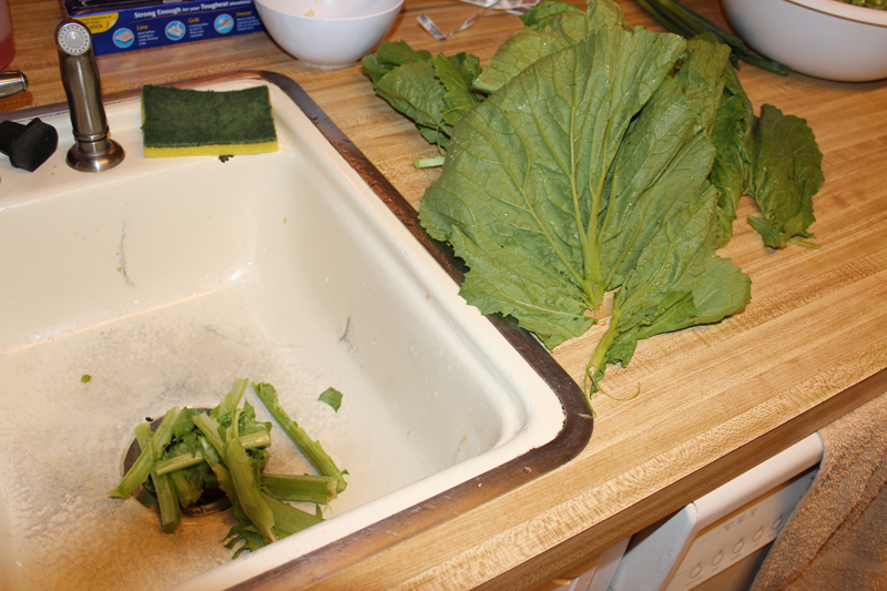 ChamoruBoy: Motsiyas Chamoru