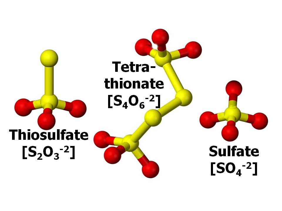 Managing Plant Nutrients: Thiosulfate, an excellent fluid sulfur source