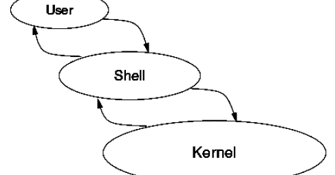 Pengertian Shel, Macam-Macam Shel dan Cara User Berkomunikasi Dengan ...
