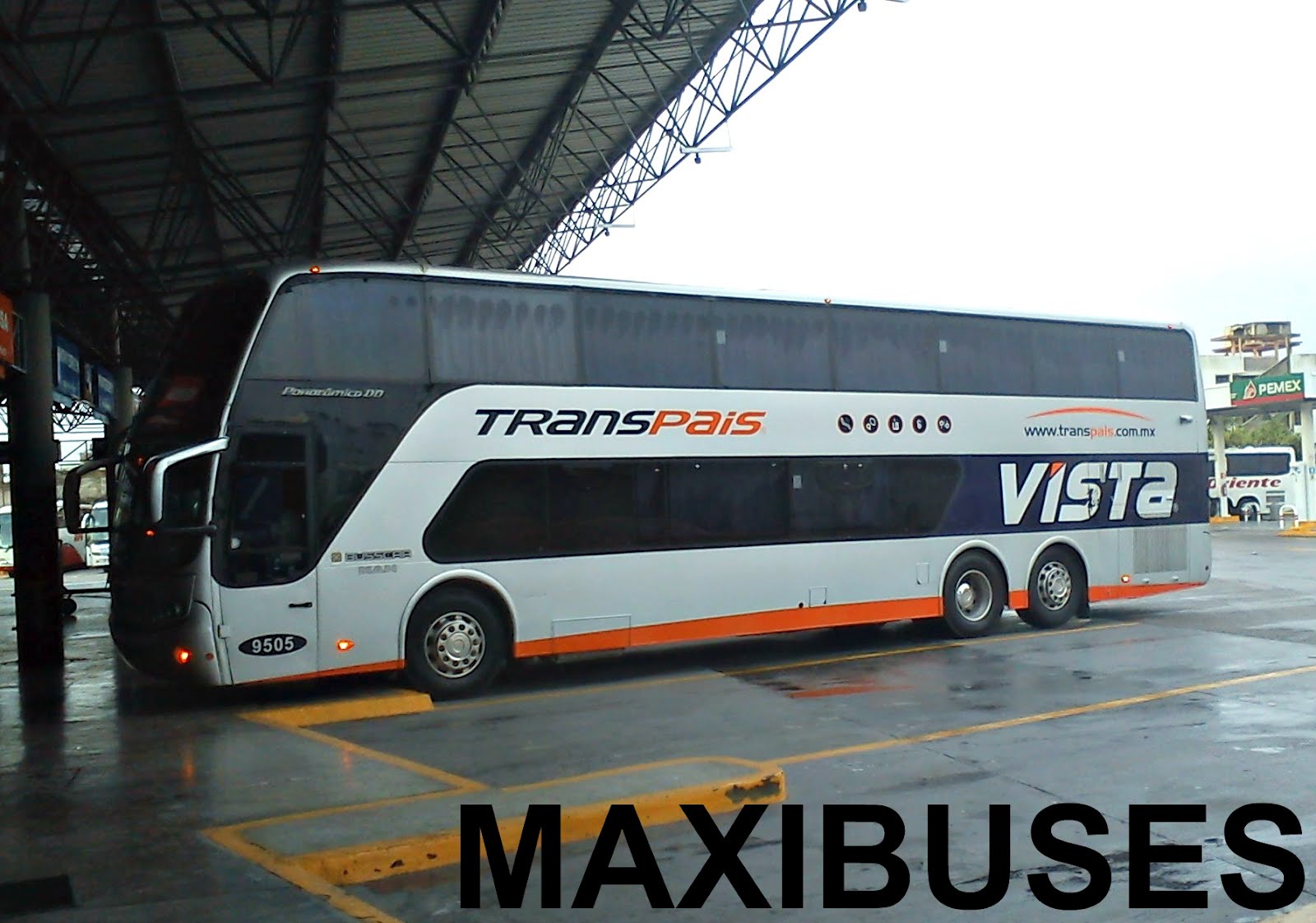 MAXIBUSES: TRANSPAÍS - VISTA