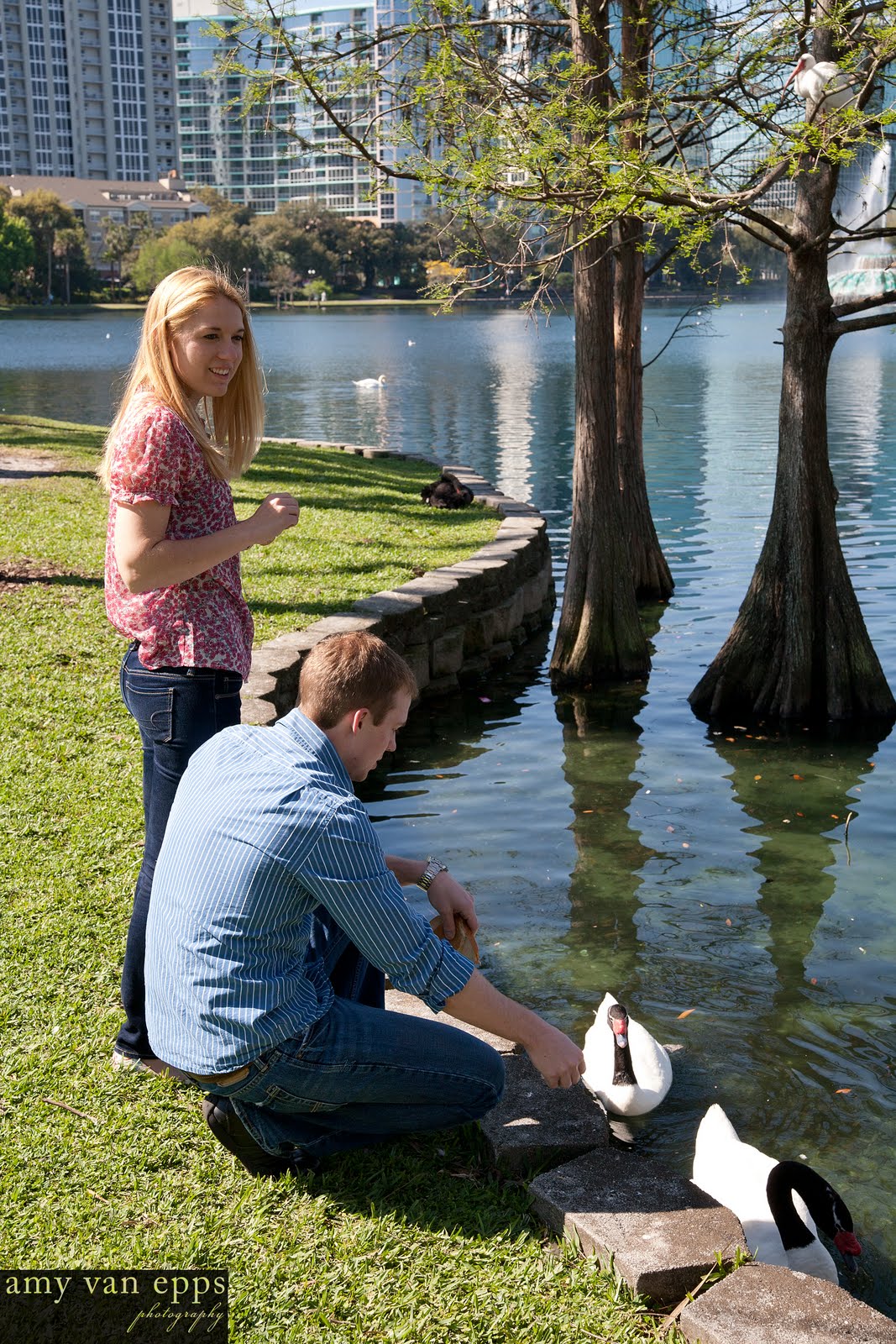 Central Florida Photographer - Amy Van Epps Photography