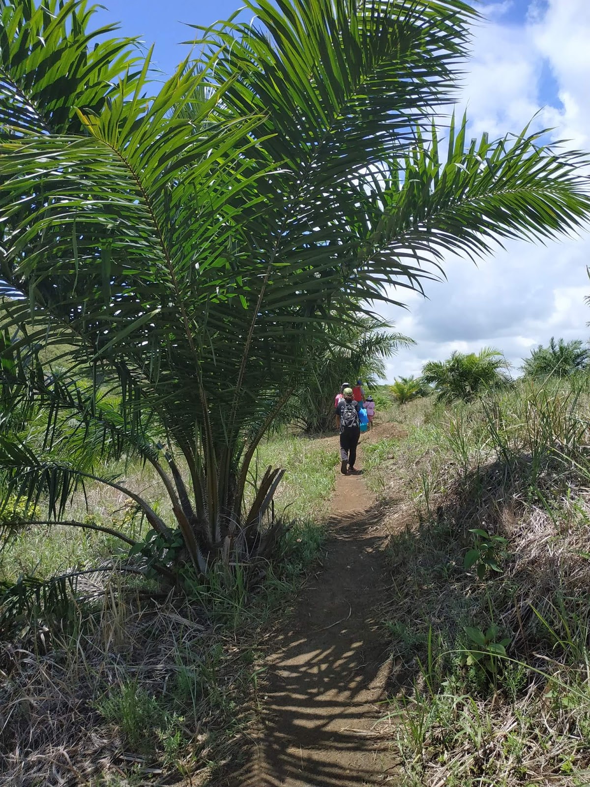 TravelBudDear: Gambodes Falls, Arakan, North Cotabato