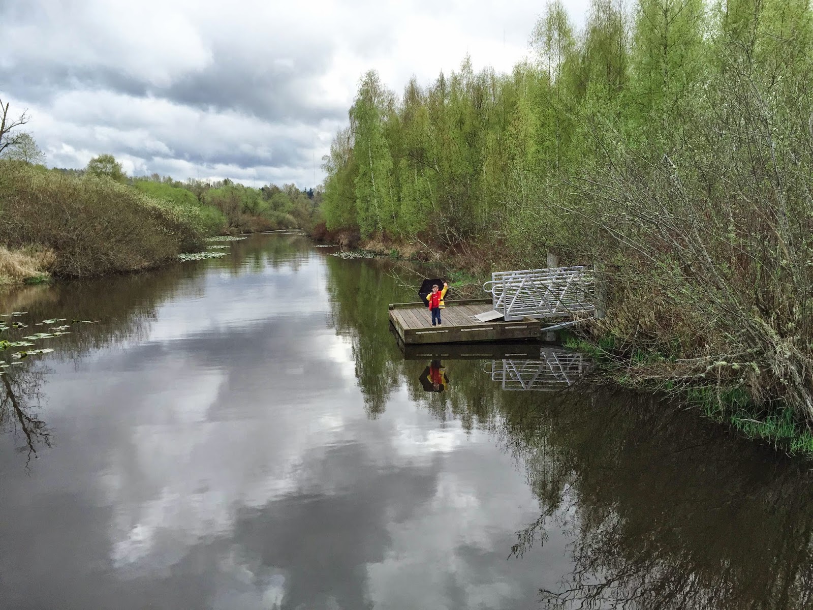 Adventures with Jake: Mercer Slough Nature Park - 3 easy loops