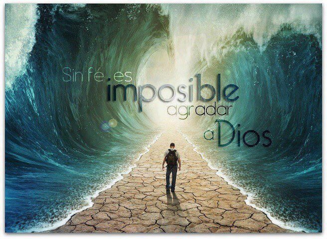 Accidente o Creación: Como Incrementar mí Fe