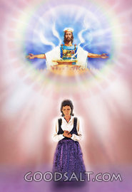 puricare chronicles: JESUS OUR HIGH PRIEST - High Priest is only one of ...