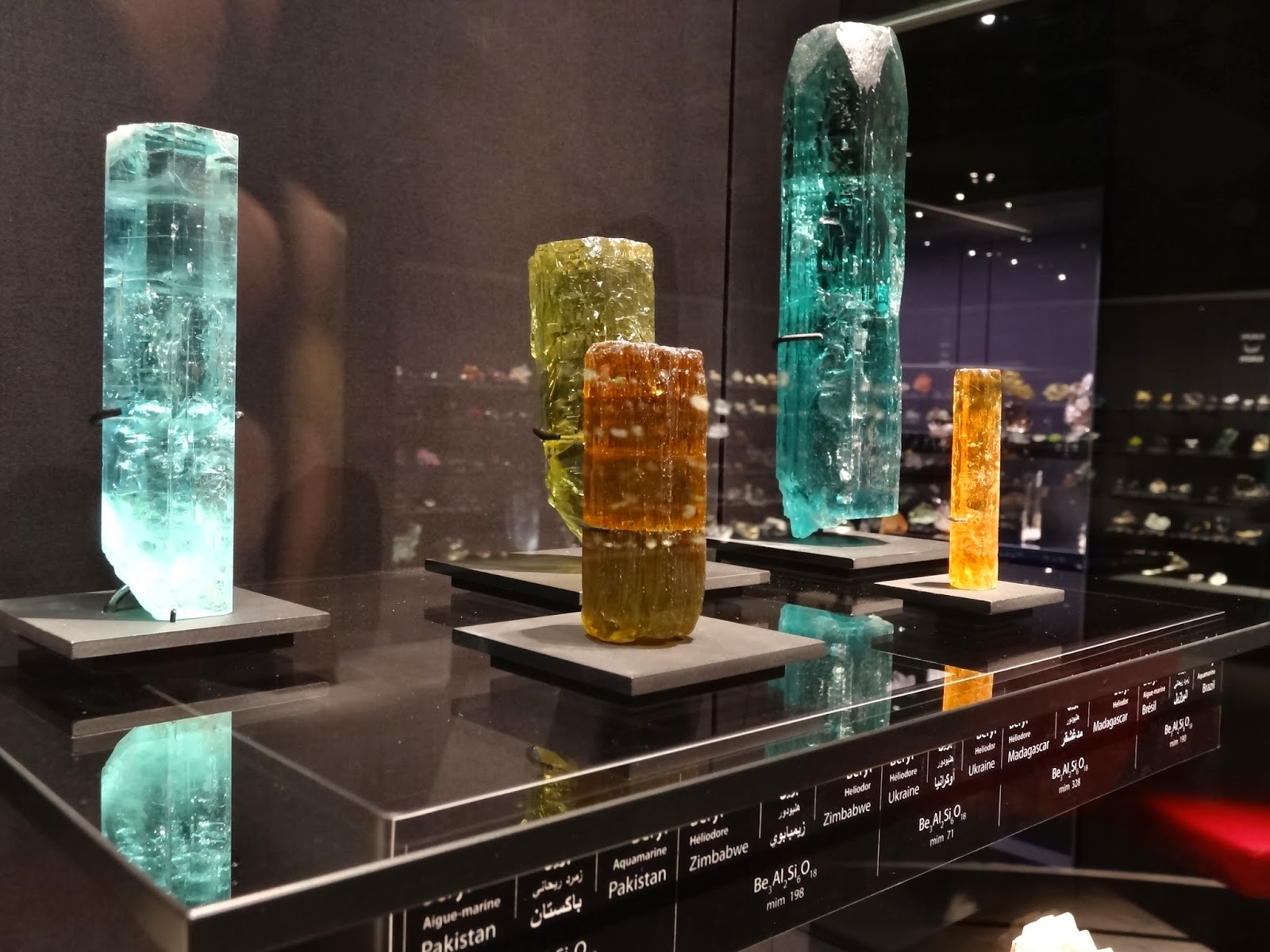 Natural History Museum of L.A. Minblog: Opening of the MIM museum in ...