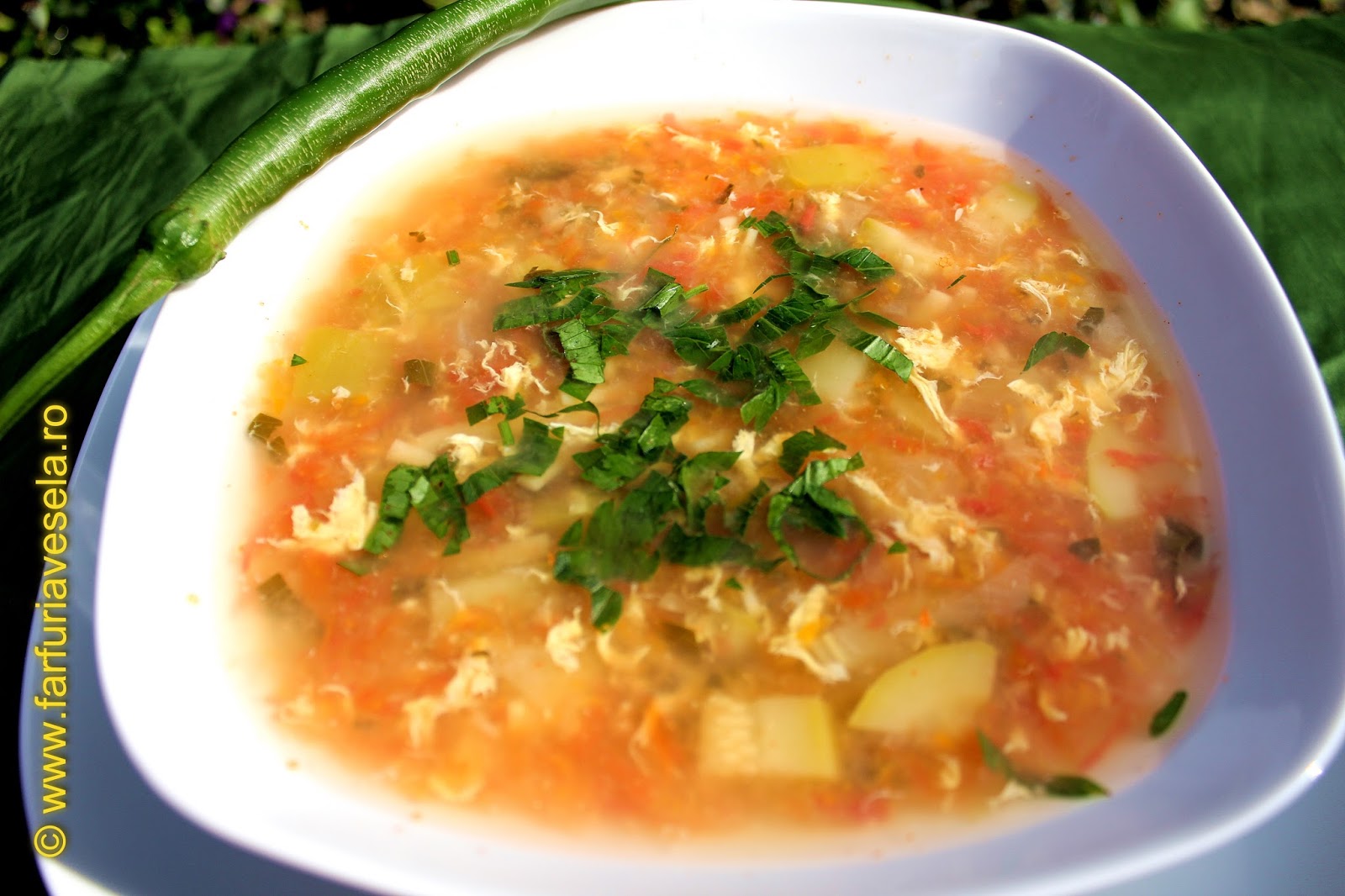 Farfuria vesela: Ciorba cu legume si bors proaspat