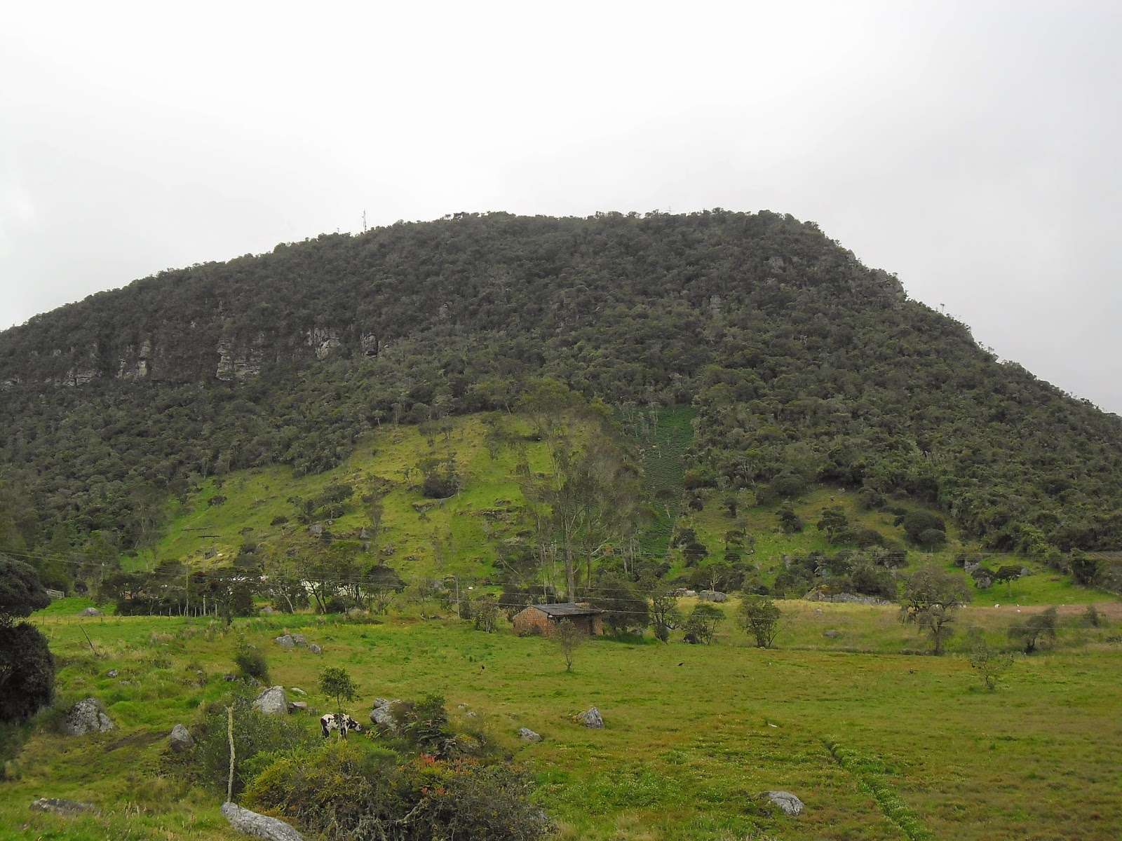 Rescatando los humedales en Chipaque: Municipio de Chipaque: Turismo