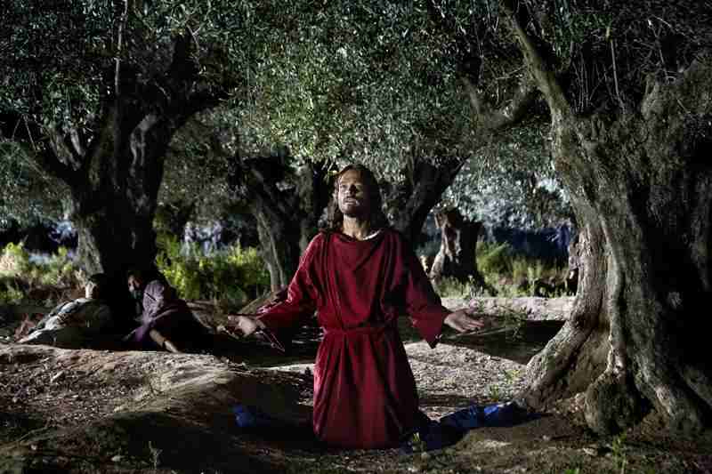 Aprendendo Com Jesus a Lidar Com a Tristeza