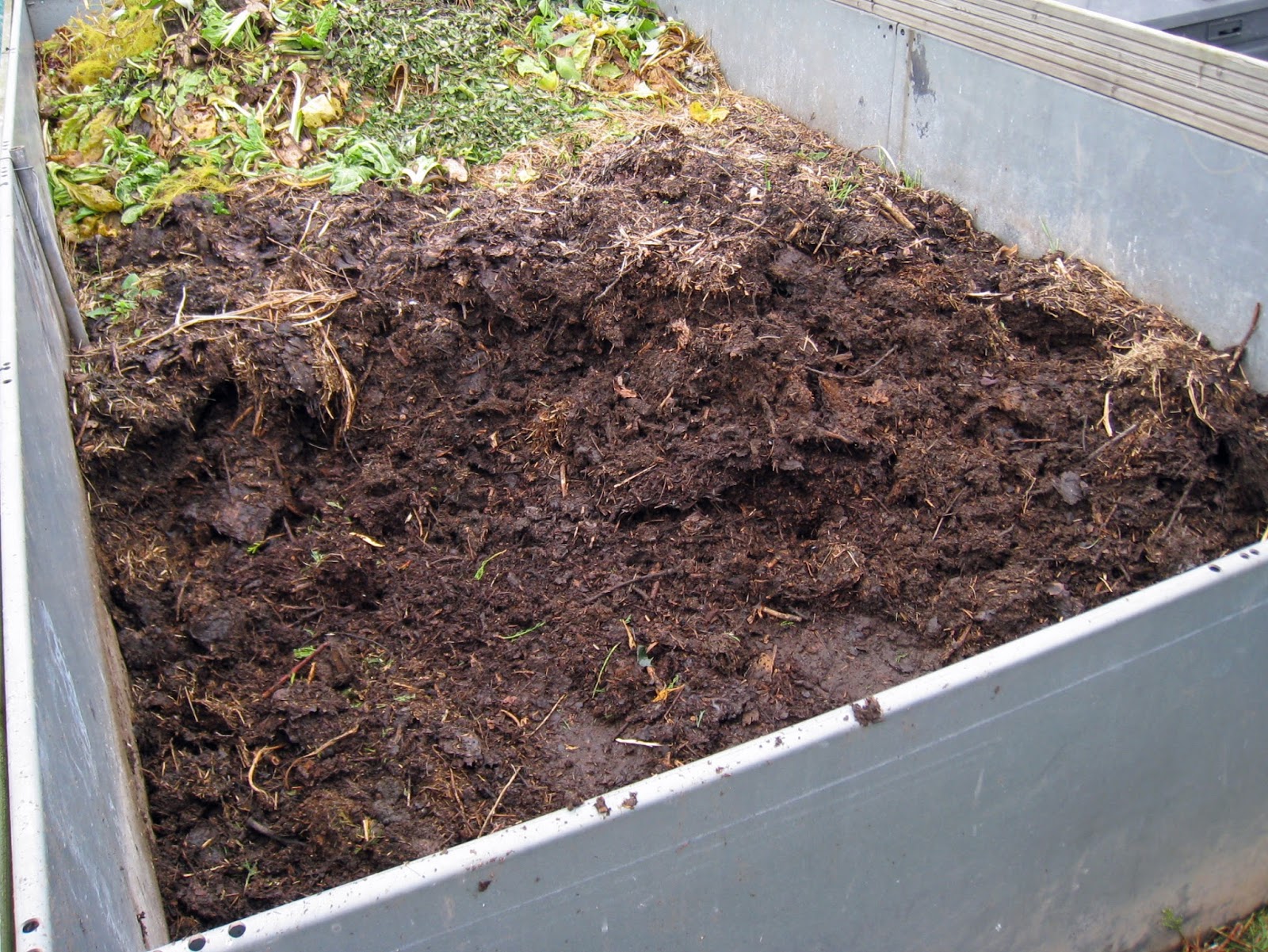 Allotment 37: Compost for covering beds