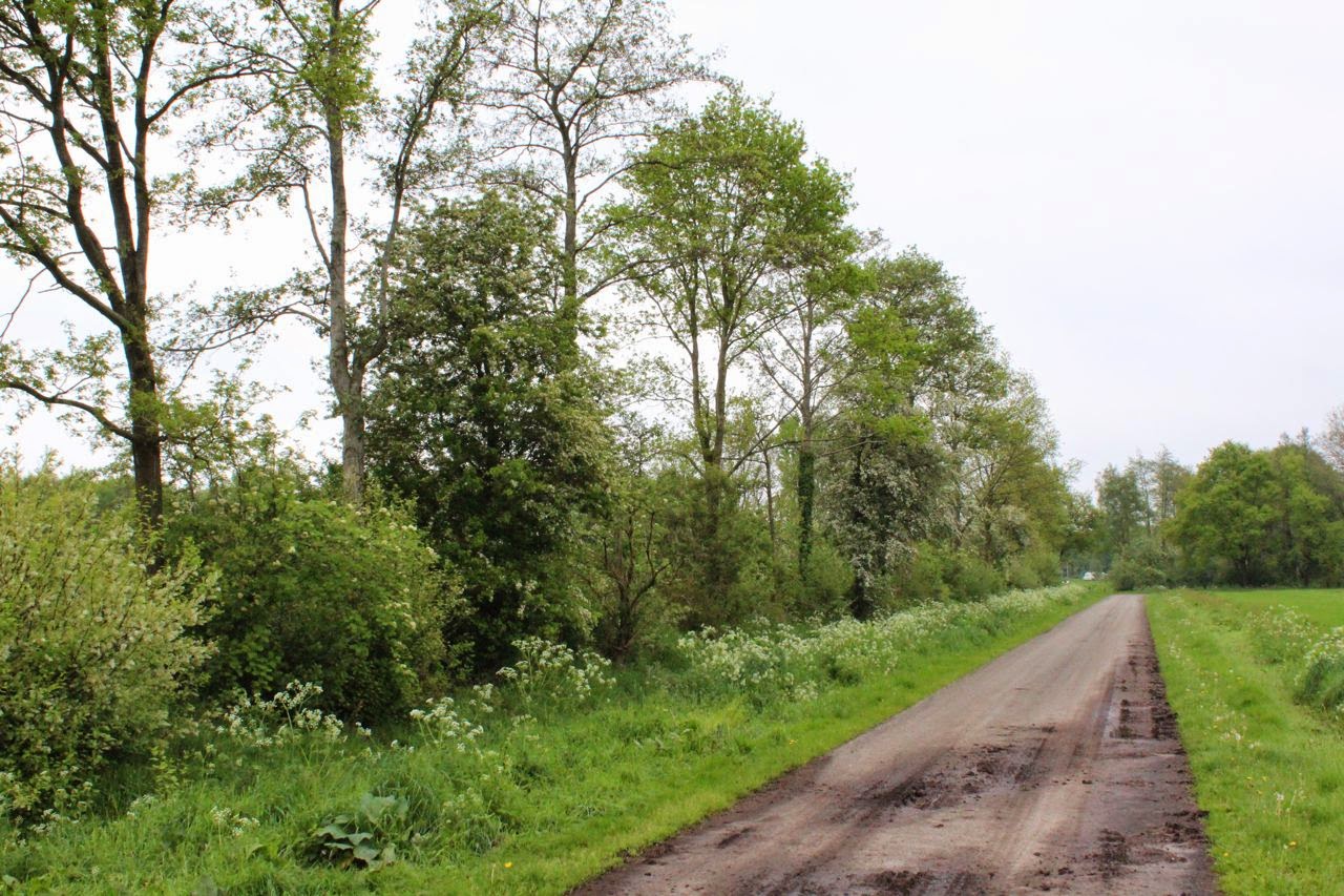 Salix Boomzorg: 2014