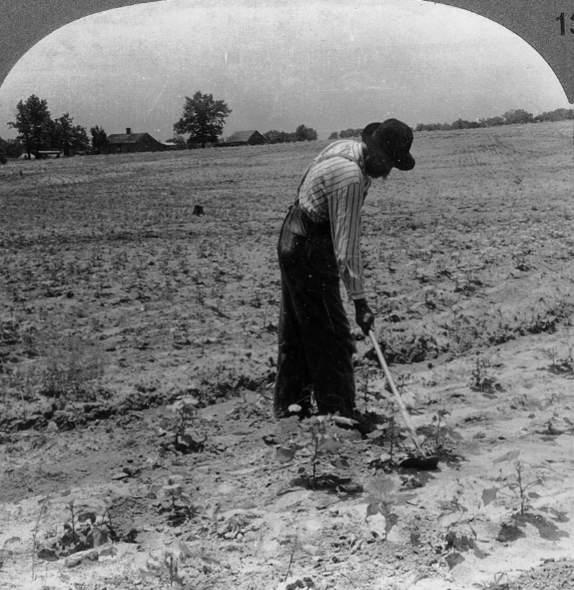 The Chubachus Library of Photographic History: Animated Stereoview Man ...