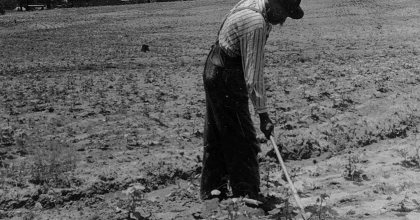 The Chubachus Library of Photographic History: Animated Stereoview Man ...