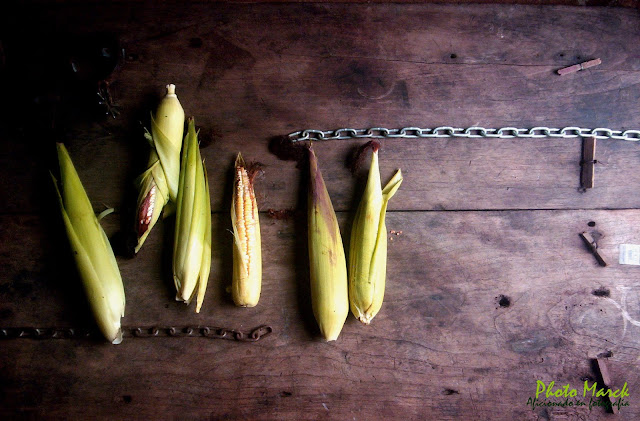 Vistazoo : producciones