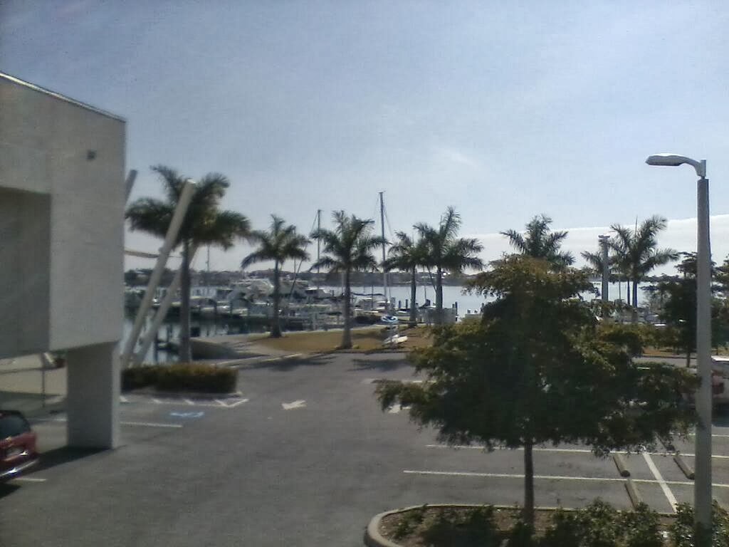 Report from the Florida Zone: Coon Key