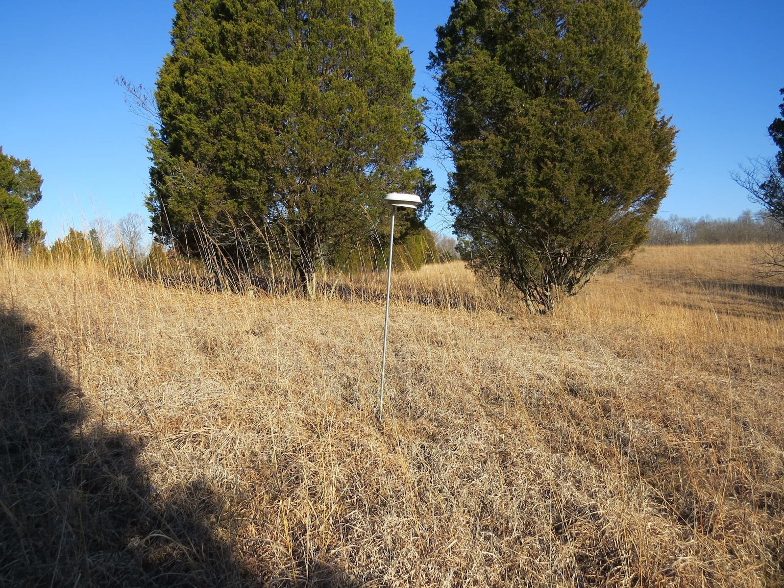 Blue Jay Barrens: Temperature Records