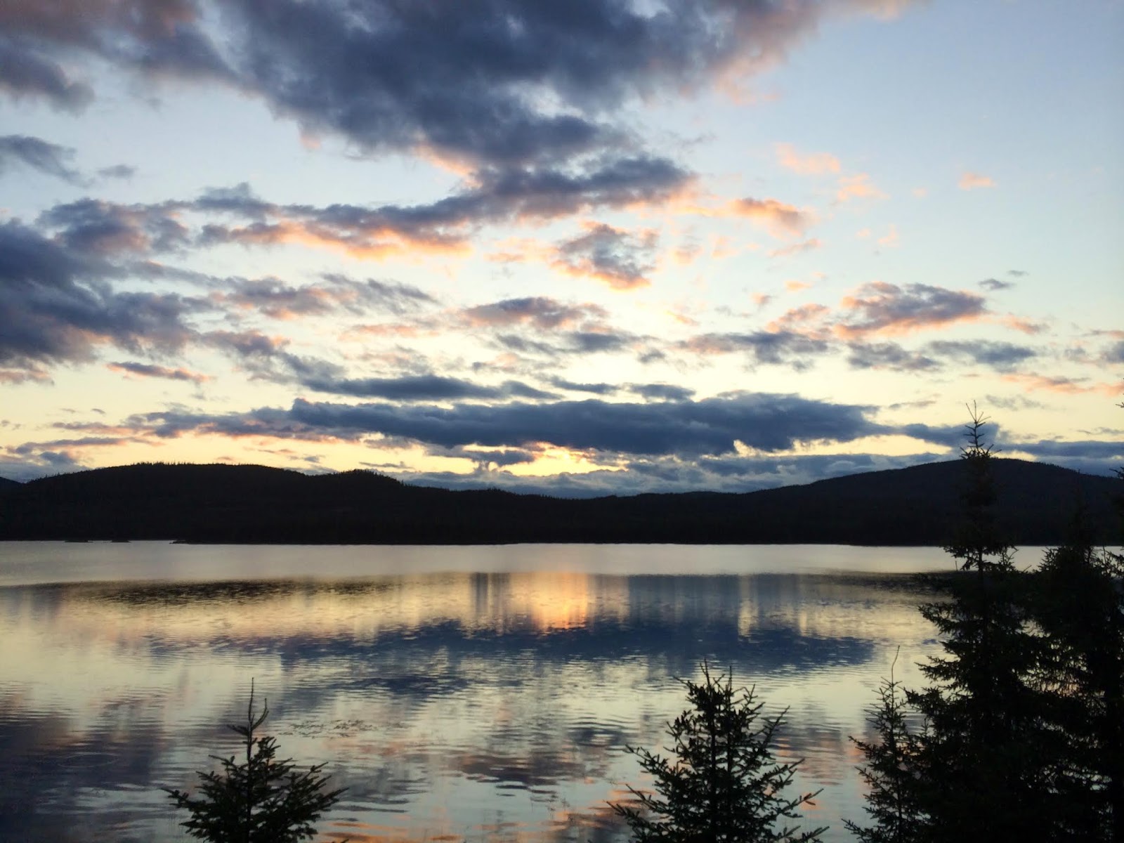 The Helpful Art Teacher: Photography 101: types of camera shots