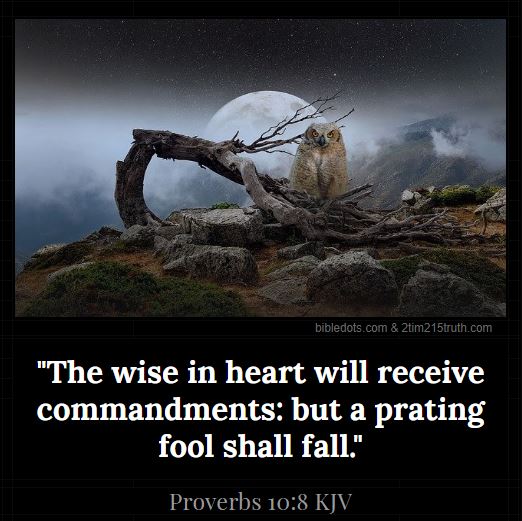 2 Timothy 2:15 Truth: Verse of the Day: Proverbs 10:8 KJV