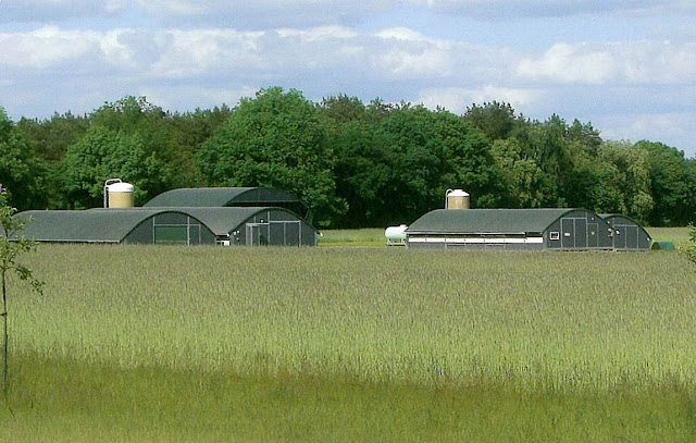 Poultry House Maker: Poultry Houses