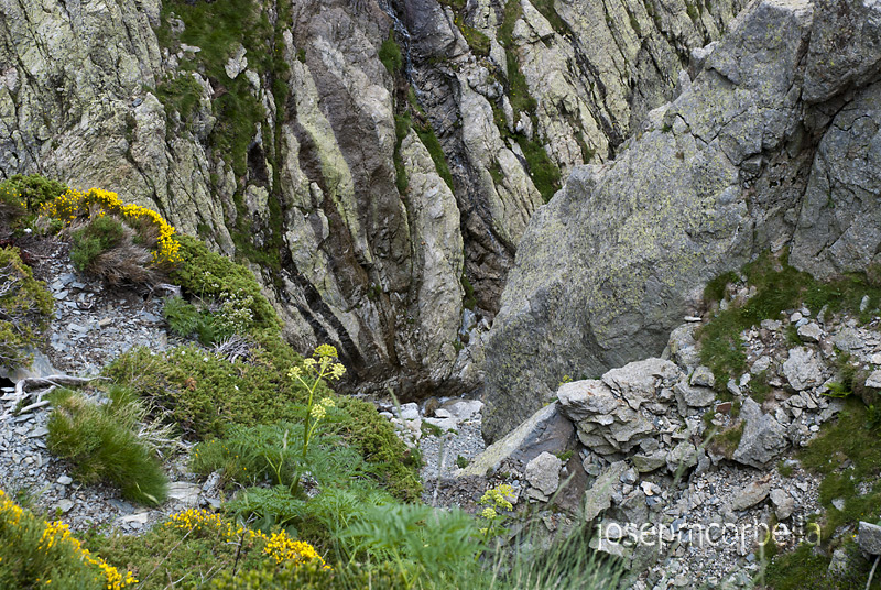 Fent camí: Camí dels enginyers: de Núria a Coma de Vaca