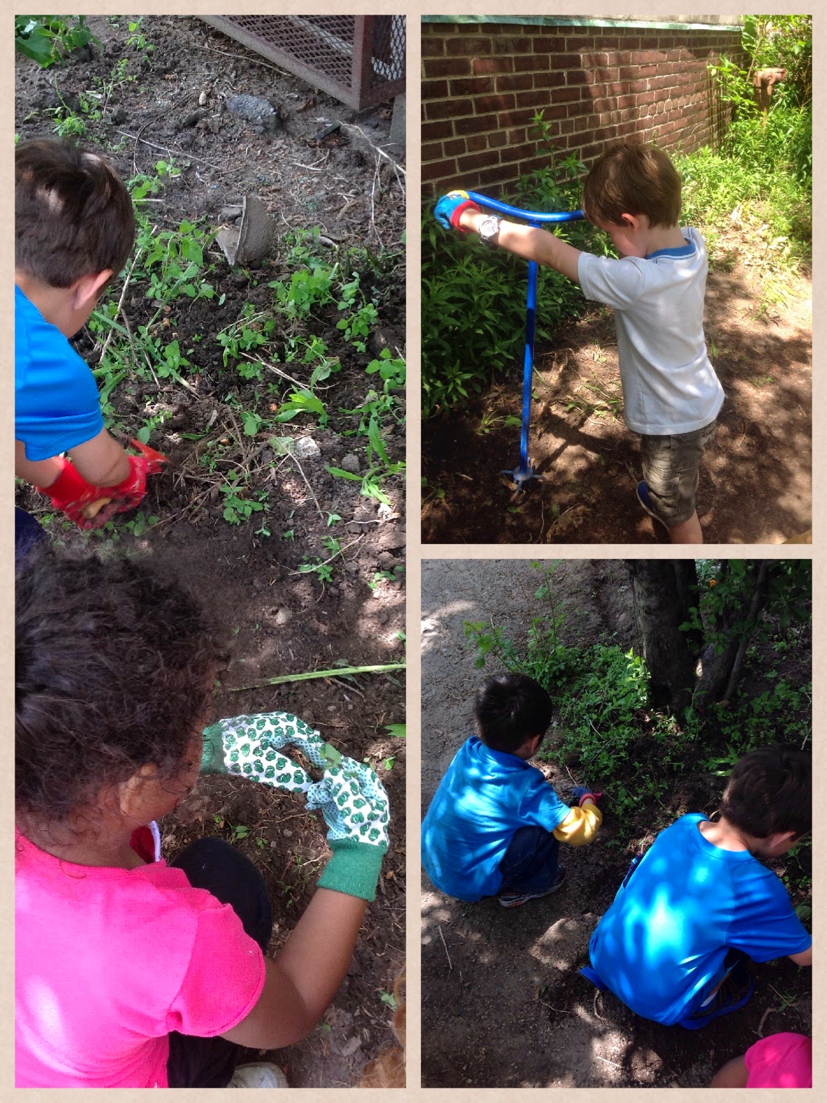 Wonders in Kindergarten: Creating our beautiful flower garden!