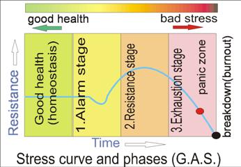 Stress Test Management
