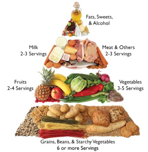 Diabetic Diet Guidelines Type 2 Diabetes diabetic-diet-guidelines-type-2-diabetes