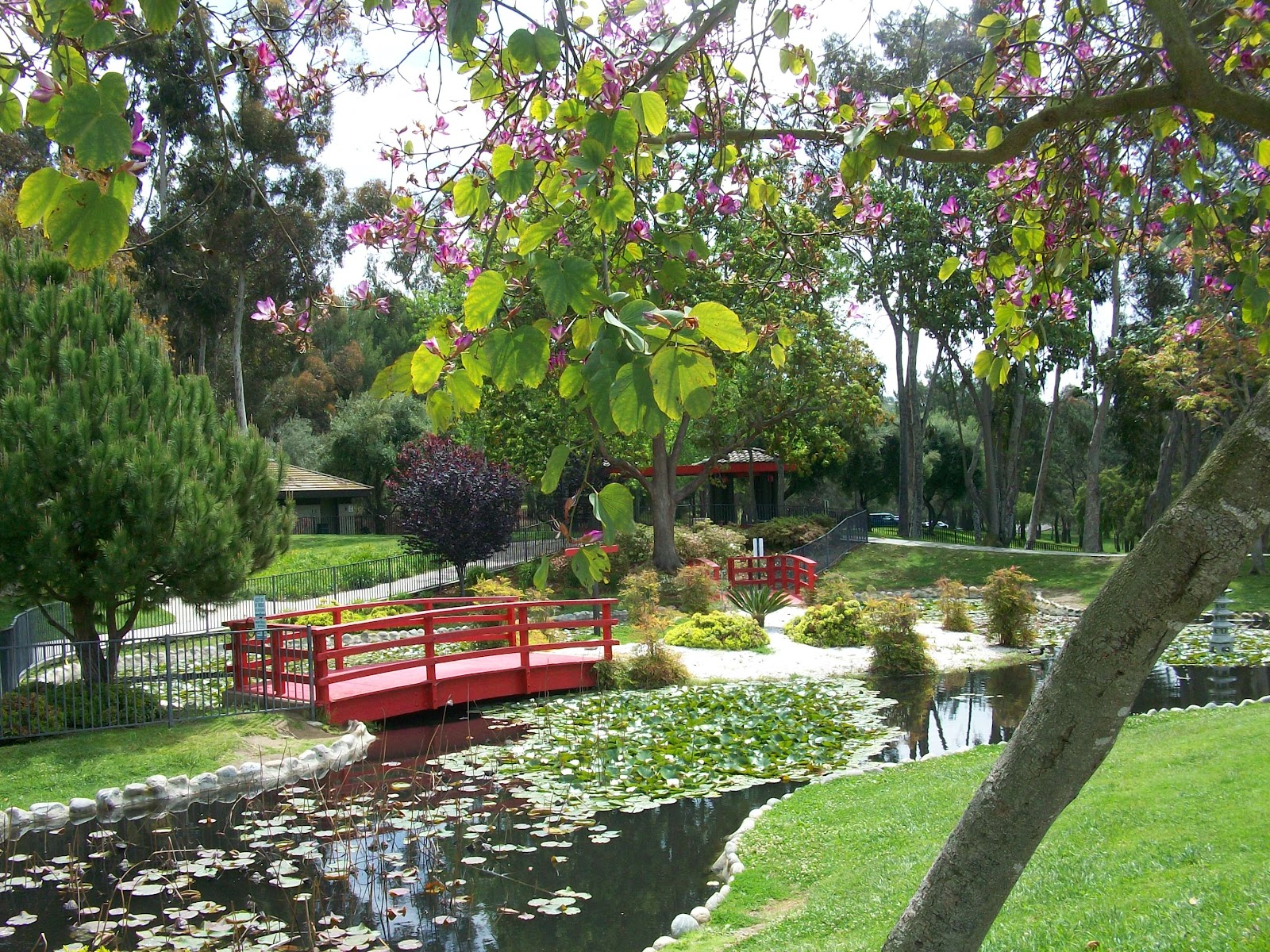 dreamer's footprint: Placerita Canyon & Kenneth Hahn Park