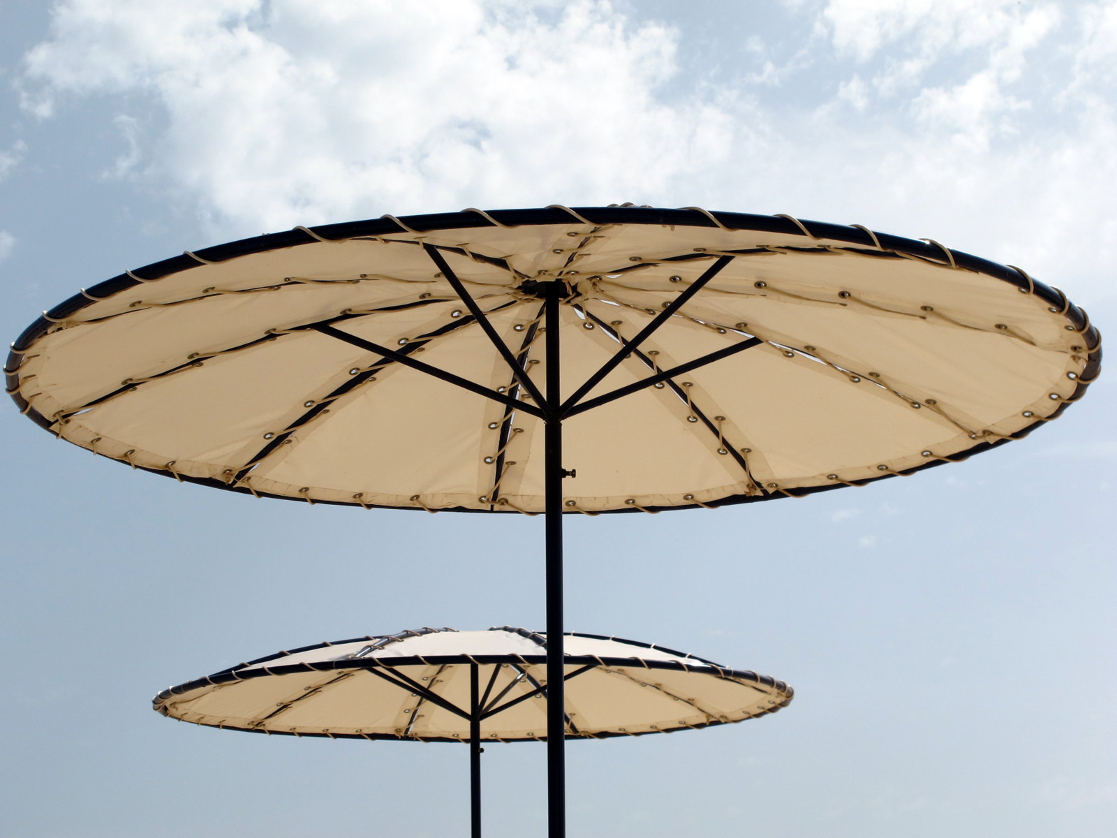 EXPRESSO DA LINHA: O MELHOR DO SOL É A SOMBRA