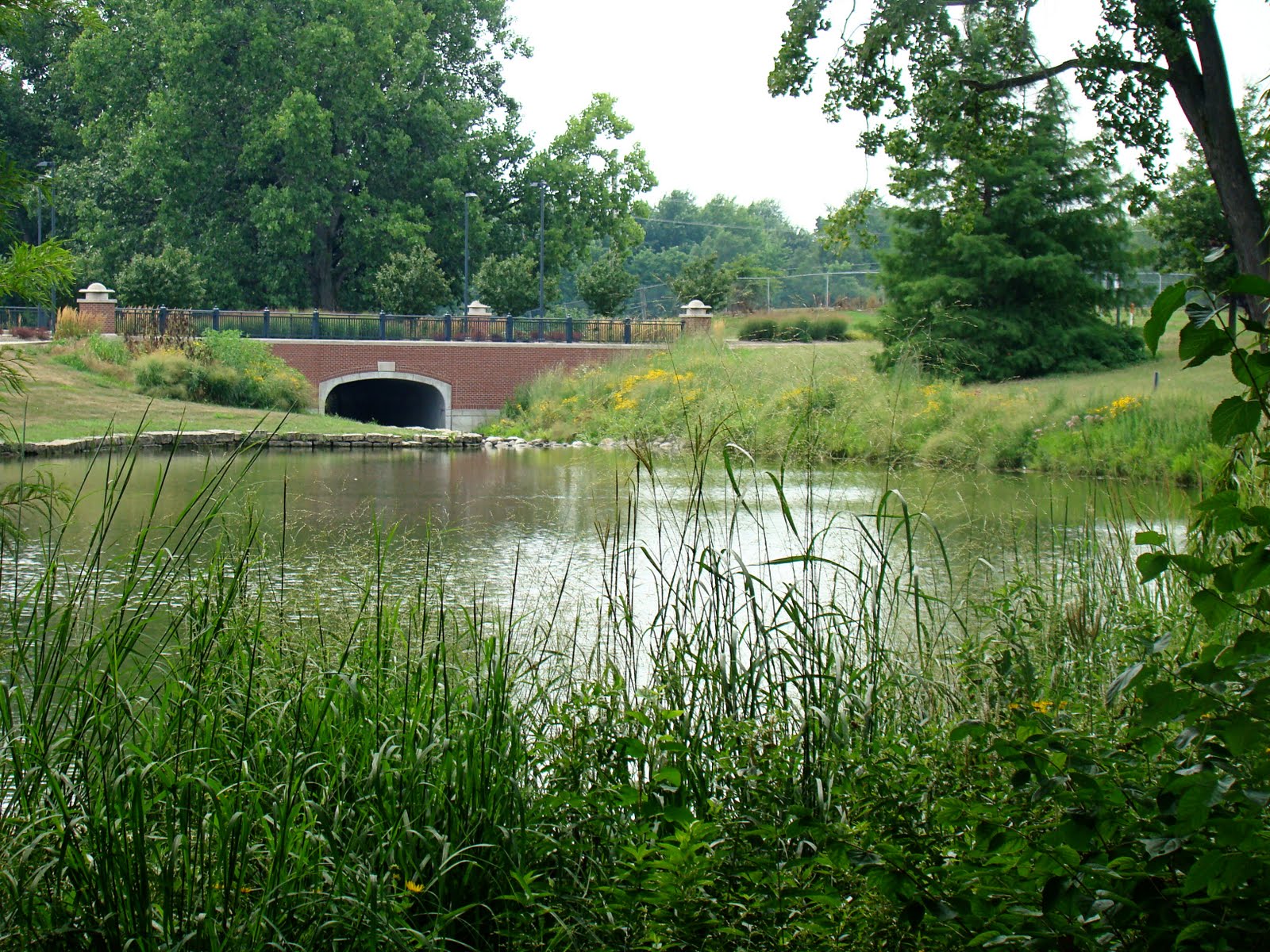 Rurification | Robin Edmundson: Ball State University