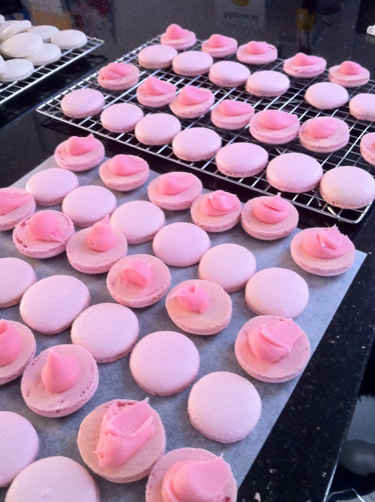 Team JJ's Bakery: Macarons for J's colleagues